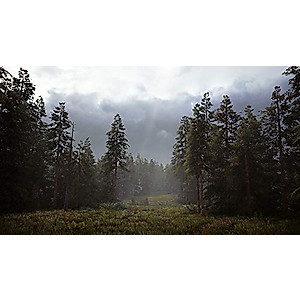 Hunting Simulator 2 (PS4) - PlayStation 4