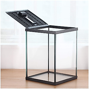 crapelles Black Small Vertical Insect GlassTerrarium, 7.8x7.8x10.8'' Reptile Tank, for Tarantula Larvae Caterpillar Frog Snail Spider Hermit Crab Habitat Container House Cricket Breeding Box