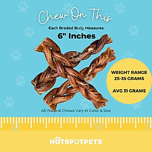 hotspot pets Braided Bully Sticks for Dogs - Premium All Natural Long Lasting Twisted Beef Pizzle Dog Chew Treats - Grain Free Fully Digestible Rawhide Alternative - 6 Inch Stix (10 Pack)