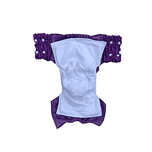 Night Time Washable Cloth Pull Up Diapers for Toddlers and Preschoolers, Ages 2 Years to 6 Years (Purple Small)