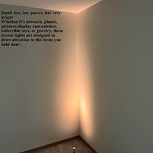 Taysing LED Spot Light Indoor Picture Lights Art Lights Accent Lights Little Spotlight Up Lights for Painting Picture Plants Jewelry Showcase Model Display Shelves Under Cabinet(Soft White 2700K)