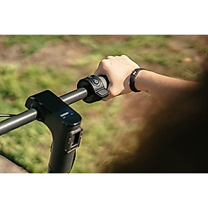 Blutron One S40 Electric Scooter, 700W Peak Power Motor, Impressive 25 Mile Range, 20 Mph, Dual Brakes & Suspension, 10'' Pneumatic Tires, Cruise Control, Foldable and Fast Charging Scooter