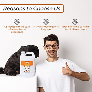 Healthy Paw Life - Lime Sulfur Dip - Pet Care for Itchy and Dry Skin - Xtra Strength Formula - Safe Solution for Dog, Cat, Puppy, Kitten, Horse (1 Gallon)