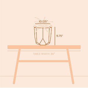 Bloem Tuxton Modern Hexagon Small Planter: 10" - Casper White - Matte Finish, Durable Resin, Modern Design, Optional Drainage Holes, for Indoor and Outdoor Use, Gardening, 2.7 Gallon Capacity