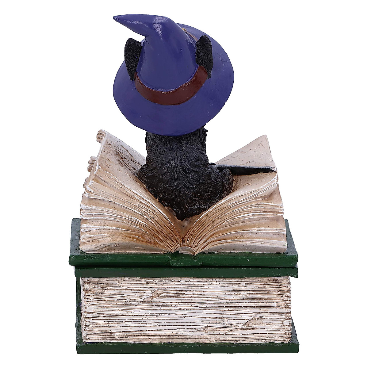 Nemesis Now Binx Small Witches Familiar Black Cat and Spellbook Figurine Box, Green, 11cm