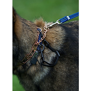 HS Herm. Sprenger Prong Collar Safety Clip (Black) 6"-8" - Pack of 1 Dog Leash Safety Strap - Enhanced Durability for Secure Leash Connection - Ideal for Safe Walk and Training