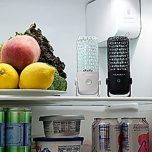 ADDOT Mini Portable UVC, UV Light Sanitizer lamp, Ultraviolet Ozone Double Germicidal Lamp - Sanitize for Small Spaces, Hotels, Kitchen, Car, EPA Registered (white2)