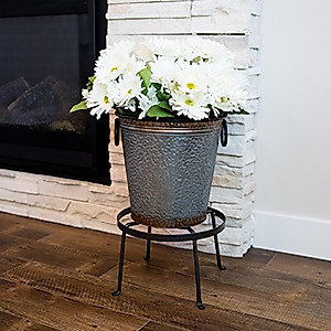 Achla Designs FB-30 Argyle Wrought Iron Plant Stand, 8-inch H, Graphite