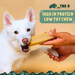 Yak9 Cheese Dog Chews, High Protein Dog Treats, Natural Ingredients, Long Lasting Dog Chews, Dog Treats for Medium Breeds Under 75 Lbs, Rawhide Free, Non GMO, Gluten Free, Grain Free, Coconut, 1 pc