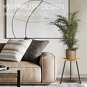 KINNARY Indoor Plant Stand, Mid Century Wood Plant Stand Plant Table for Flower Pots, Tall Metal Plant Holder, Modern Home Decor Small Round Side End Table (11.8"x16")