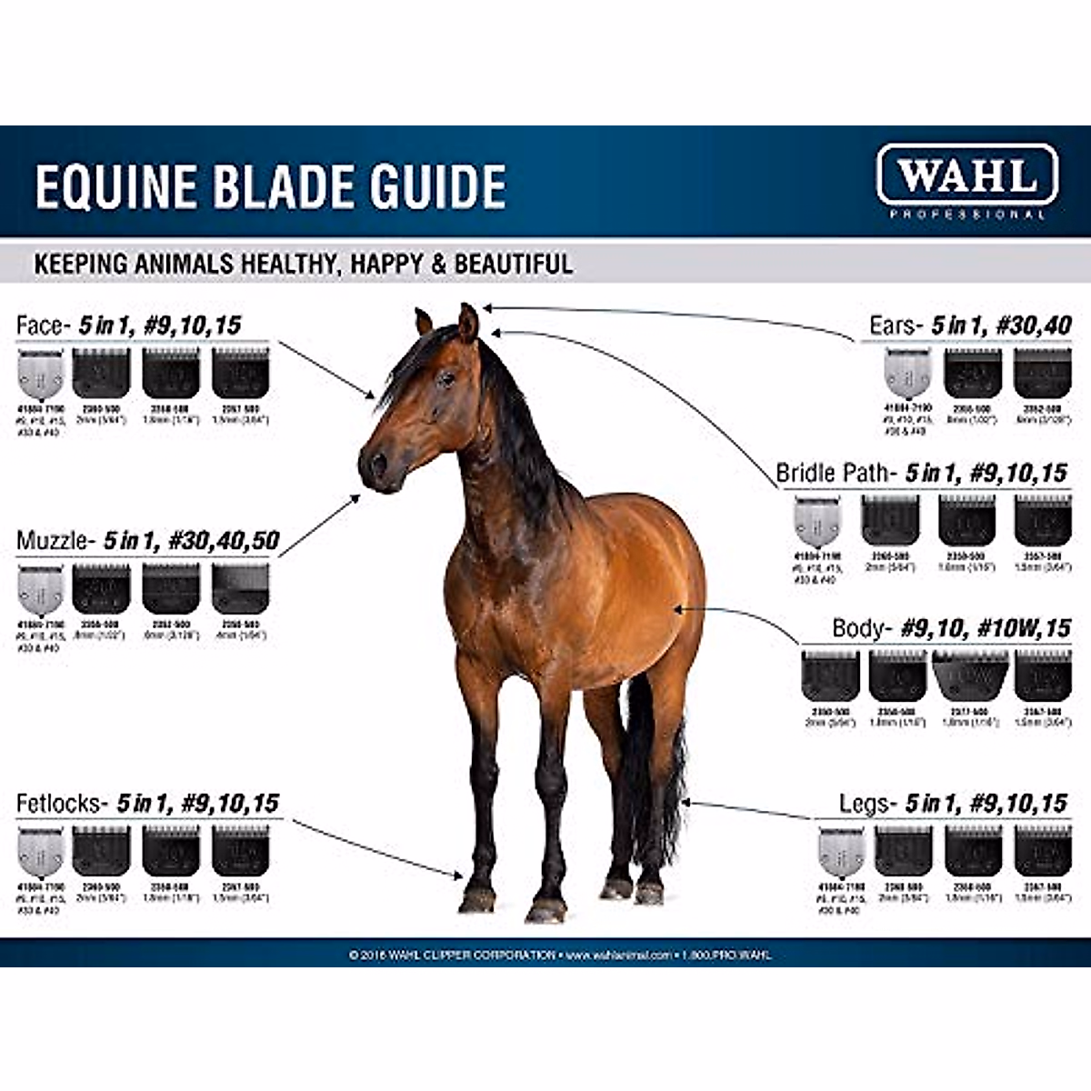 WAHL Professional Animal 30 Fine Ultimate Competition Series Detachable Blade with 1/32-Inch Cut Length (2355-500)