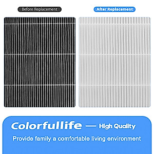 Colorfullife 2 Pack 116130 Replacement Filter H for Winix 5500-2 Air Purifier, 2 Pack HEPA Filters and 2 Pack Activated Carbon Filter Combo Pack