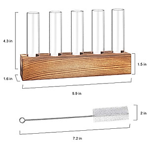 RENMXJ Plant Propagation Station, Plant Terrarium with Wooden Stand for Hydroponics Plants Office Decor Unique Gardening for Women Plant Lovers - 5 Glass Test Tube Vases