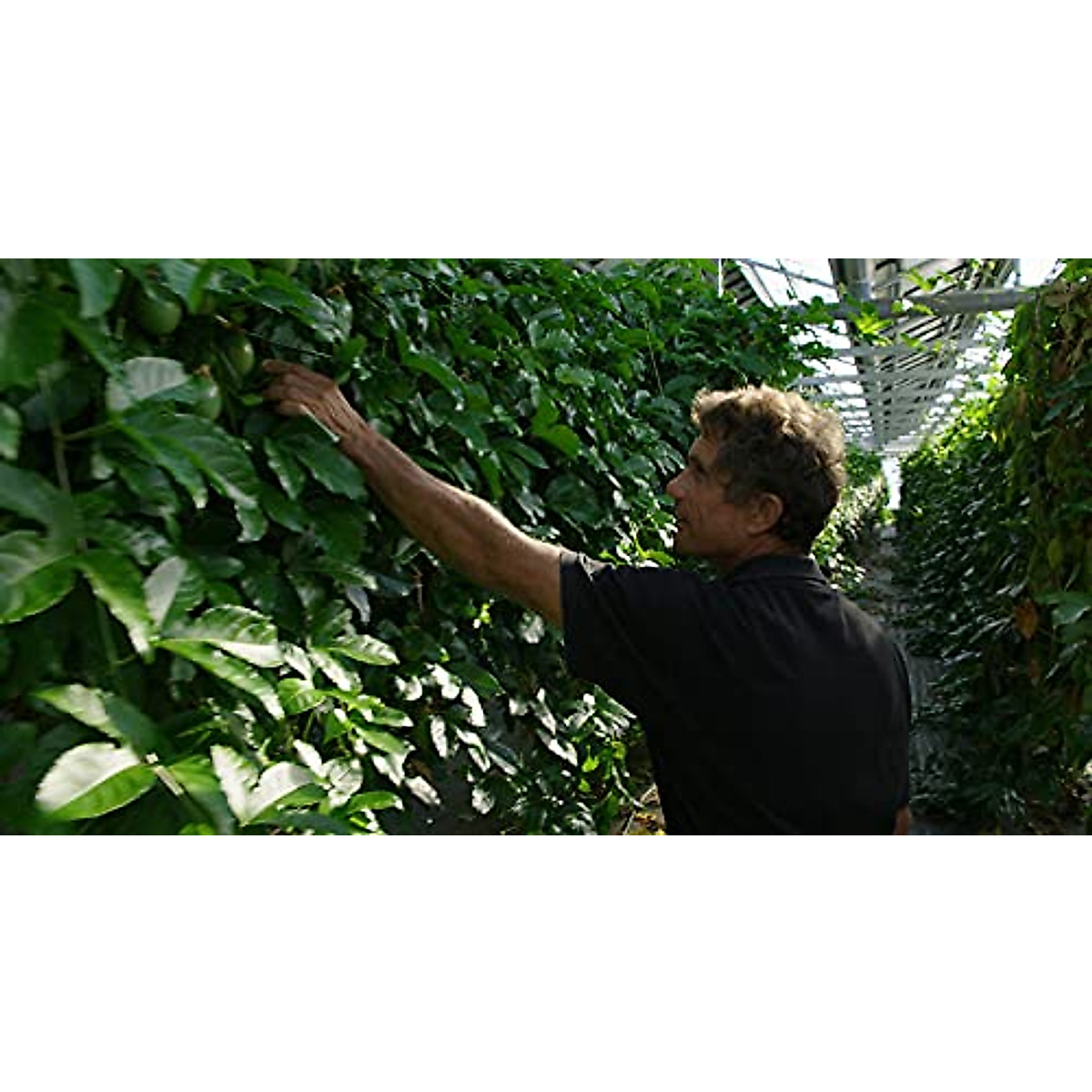 DEMAIN (DVD) (France TV) (French Edition)