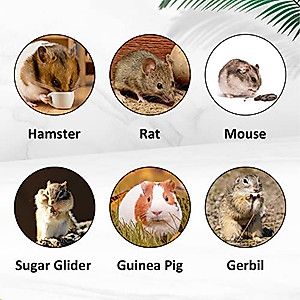 Guinea Pig Hideout Small Animal House Hide with Windows Hamster Wooden Castle Hut Chinchilla Cage Accessories for Chinchilla Guinea Pig Hamster Gerbil Hedgehog