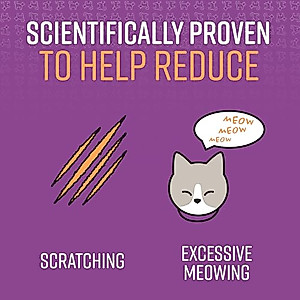 SENTRY PET Care Sentry Calming Collar for Cats, Long-Lasting Pheromone Collar Helps Calm Cats for 30 Days, Reduces Stress, Helps Calm Cats from Anxiety, Loud Noises, and Separation, 1 Count