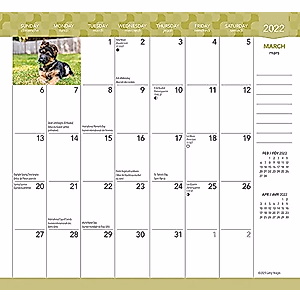 I Love Puppies Jadore les Chiots 2022 3.5 x 6.5 Inch Two Year Monthly Pocket Planner, Dogs Pets Canine