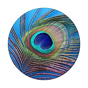 Peacock Pop Sockets PopSockets PopGrip: Swappable Grip for Phones & Tablets