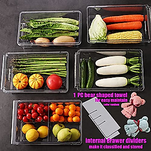 2 Pack Fridge Drawer Organizer, Refrigerator Storage Bins Box, 12" Length, Refrigerator Pull out Under Shelf Holder Vegetable Veggies Fruit Container