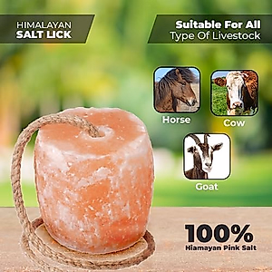 100% Himalayan Salt Lick for Horses 3-4 LBS- Pack of 3 Licking Salt Block for Animals with Minerals, Salt Licks for Cows, Goats, Deer, Cattles & on Rope