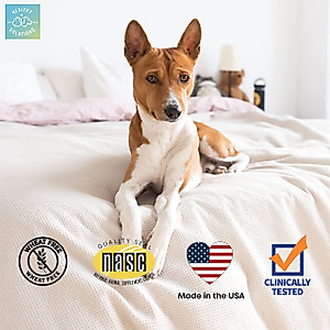 Glucosamine for Dogs - Advanced Dog Hip & Joint Supplement with Chondroitin & Hyaluronic Acid - 60 Soft Joint Health Chews - Made in USA