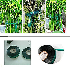 Medoore 24 Rolls 150 Feet Stretch Tie Tape 0.5 Inch Garden Tie Tape Thick Plant Ribbon Garden Green Vinyl Stake for Indoor Outdoor Patio Plant Use