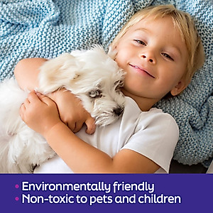 SilverWorks! Fabric Spray Odor Eliminator For Home - Silver Ion Room Deodorizer Strong Natural Furniture Couch Deodorizer, Remove Smells for Car, Pets, Clothes, Carpet, -16.9oz