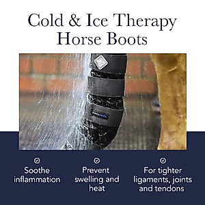 LeMieux Arctic Ice Therapy Horse Boots - Protective Gear and Training Equipment - Equine Boots, Wraps & Accessories (Black - OneSize)