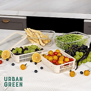 Urban Green Glass Food Storage Containers with Glass Lids, Microwave Safe Glass Food Container Set, Leakproof Glass Produce Containers with Removable Colander, Salad Storage Container, 2 Pack,