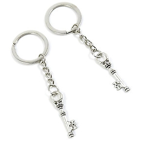 100 Pieces Keychain Keyring Door Car Key Chain Ring Tag Charms Supplies B8IO3P Magic Skeleton Key