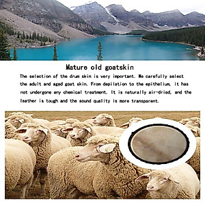 RUOSWTE 8-inch Djembe Drum，Djembe，Percussion Music Bongo, West African Style（ Log painting）