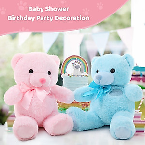 Tezituor 2 Pack Pink and Blue Teddy Bear, Small Teddy Bear Stuffed Animal Plush for Christmas Valentines Day Baby Shower Birthday, Cute Pink Blue Bear Stuffed Animal for Girl Boy