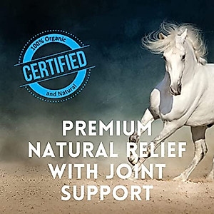 Equine Balance Premium Daily Supplement for Horses | Organic Advanced Bio-Nano Technology to Support Digestive Health | Improves Stamina | Immunity and Joint Support | 30 Day Supply | 5 oz
