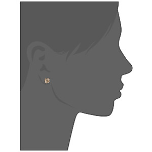 Napier Gold-Tone and Cubic Zirconia Stud Earrings