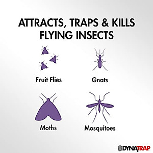 DynaTrap DT152 Indoor Insect Trap and Killer – Catches and Kills Fruit Flies, Gnats, Moths, Mosquitoes & Other Flying Insects