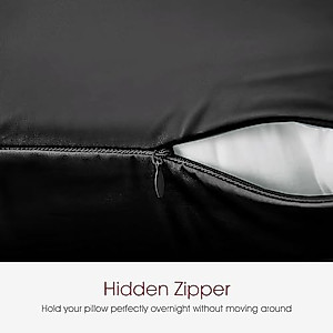 WLOSJ 100% Silk Pillow Cases 2 Pack Queen Size Mulberry Silk Pillowcase for Hair and Skin Set of 2 Highest Grade 6A Silk with Hidden Zipper, Black