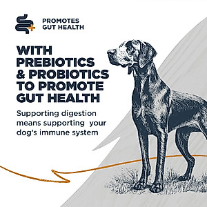 Blackwood Sensitive Skin & Stomach Dry Dog Food, Lamb Meal & Brown Rice with Ancient Grains, 4.5 Pound Bag with Prebiotics & Probiotics to Promote Gut Health