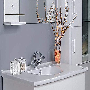 Oidnvay Qtip Holder Cotton Swab Holder Storage Dispenser, Clear Cotton Ball Swab Holder, Apothecary Jars with Lids for Bathroom