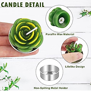 Outee 12 Pcs Cactus Tealight Candles Handmade Delicate Succulent Candle Cactus Candles Smokeless Aromatherapy Mini Candles Tea Lights 12 Styles for Home Décor Birthday Gift Party Wedding SPA