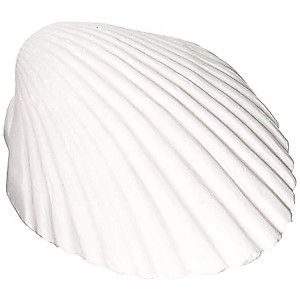 (3 Pack) Weco Wonder Shell Natural Minerals, Giant, for Total of 3 Giant Shells