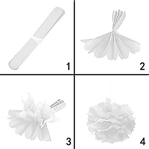 White Frozen Party Hanging Decorations - Wonderland 1st Birthday Baby Shower Nursery Wedding Bridal Shower Party Tissue Paper Pom-poms Fans Flowers Photo Booth Backdrops Decorations, 10pc