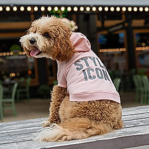 Christian Siriano New York Pink Style Icon Hoodie for Dogs, M