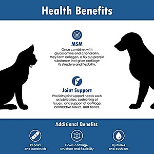HealthyPets Chondro Flex II - Powerful Joint Care Formula Dogs and Cats - Maximum Nutritional Support - Glucosamine, Chondroitin, MSM, Ester-C, and Minerals - 120 Chewable Tablets