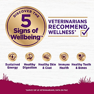 Wellness Complete Health Grain-Free Small Breed Dry Dog Food, Natural Ingredients, Made in USA with Real Turkey, For All Lifestages (Turkey, Chicken & Salmon, 4-Pound Bag)