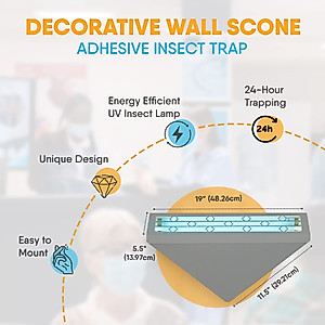 Gardner WS-95 Wall Sconce Fly Light Trap Lamp – Powerful Shatterproof UV Light - Hides Captured Flies, Mosquitoes, Other Insects – Kitchens, Restaurants, and Other Work Spaces (Stainless Steel)