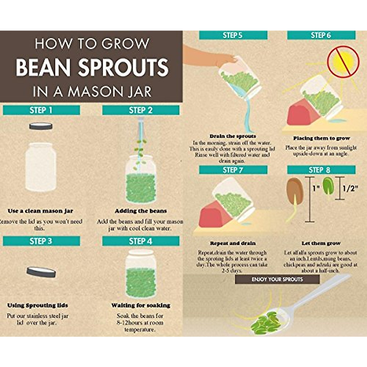 Sprouting Jar Strainer Lid - For Growing Organic Sprouts & Sprouter Screens - 304 Stainless Steel