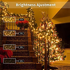 ZAIYW 4 Pack Battery Operated String Lights, 16.5 Ft Dark Green Wire 50 LED String Lights with Remote Timer 8 Modes Fairy Lights for Bedroom Party Patio Yard Garden Christmas Tree Decor (Warm White)