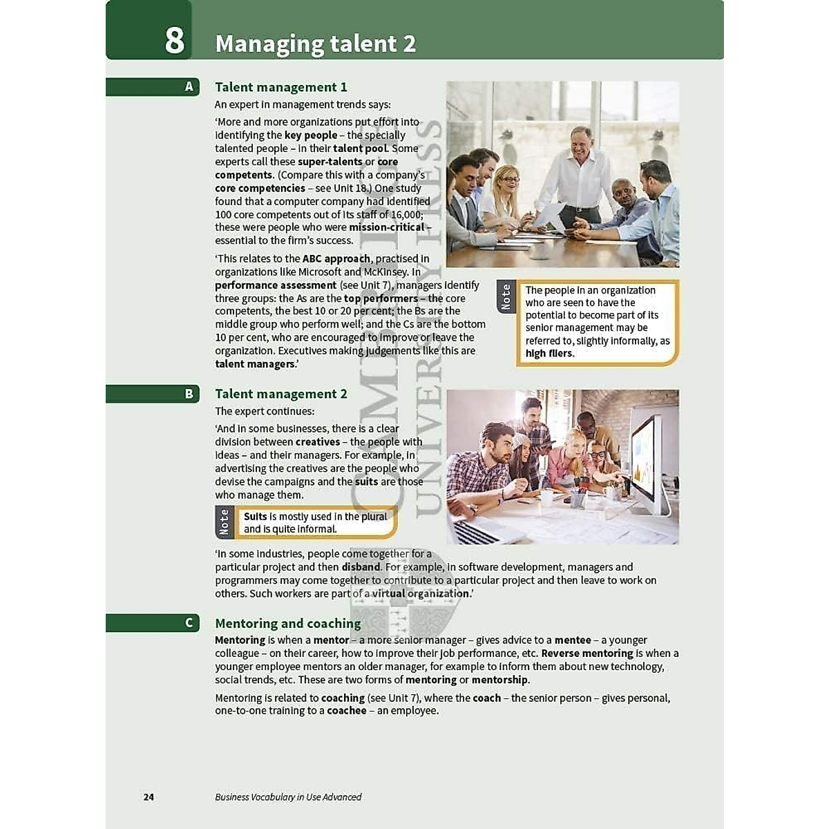 Business Vocabulary in Use: Advanced Book with Answers