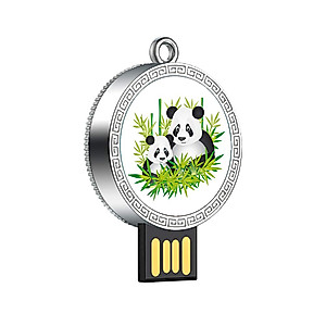 ZJR USB Flash Drive 64GB High Speed Thumb Drive Large Storage USB Memory Stick Jump Drive with Keychain