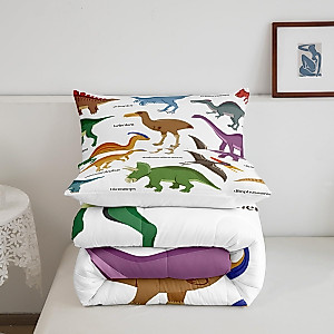 Erosebridal Dino Comforter Set for Kids Boys Girls,Dinosaur Bedding Set Twin,Set of Ancient Dinosaur Bedding Comforter Sets,Jungle Animal Duvet Insert with 1 Pillowcase